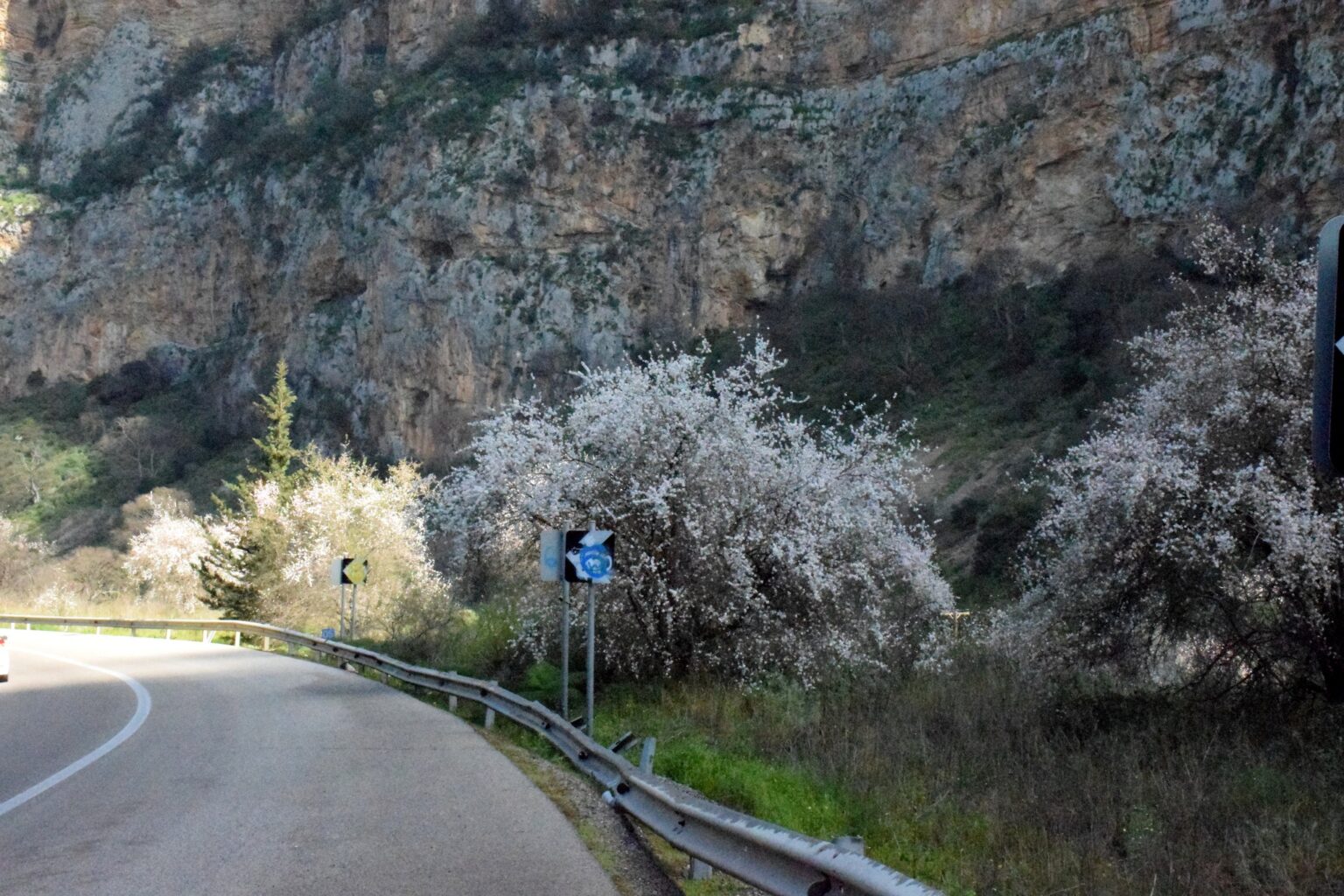 Λίμνη Τριχωνίδα: Γνωρίστε το «πέλαγος» της Αιτωλοακαρνανίας